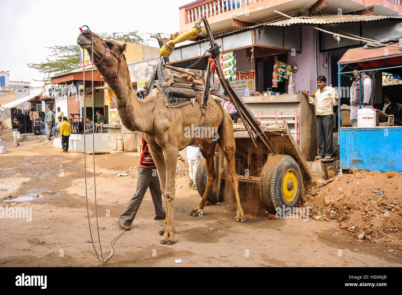 Churu rajasthan hi-res stock photography and images - Alamy