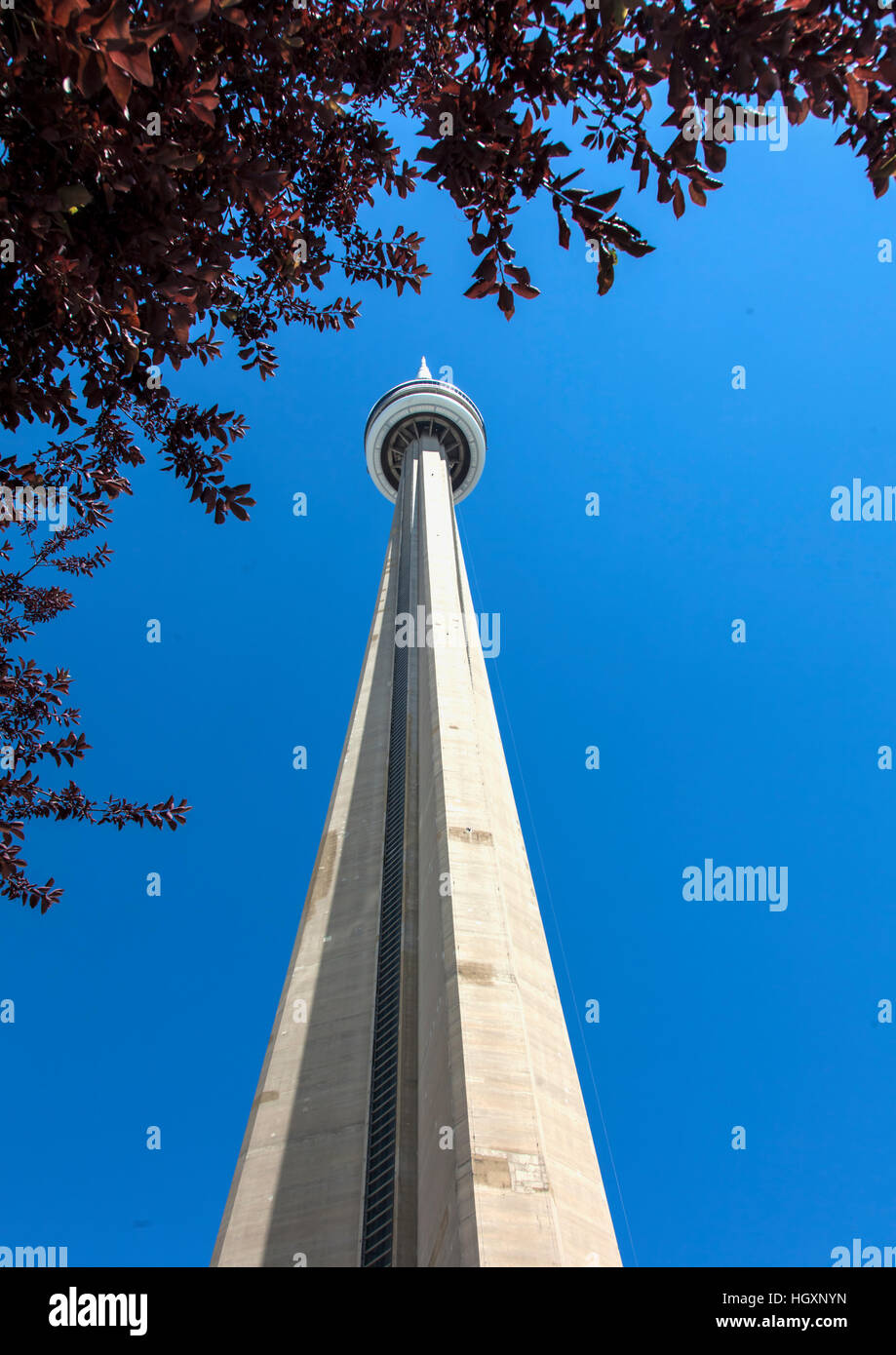 Cn tower tallest structure in hi-res stock photography and images - Alamy