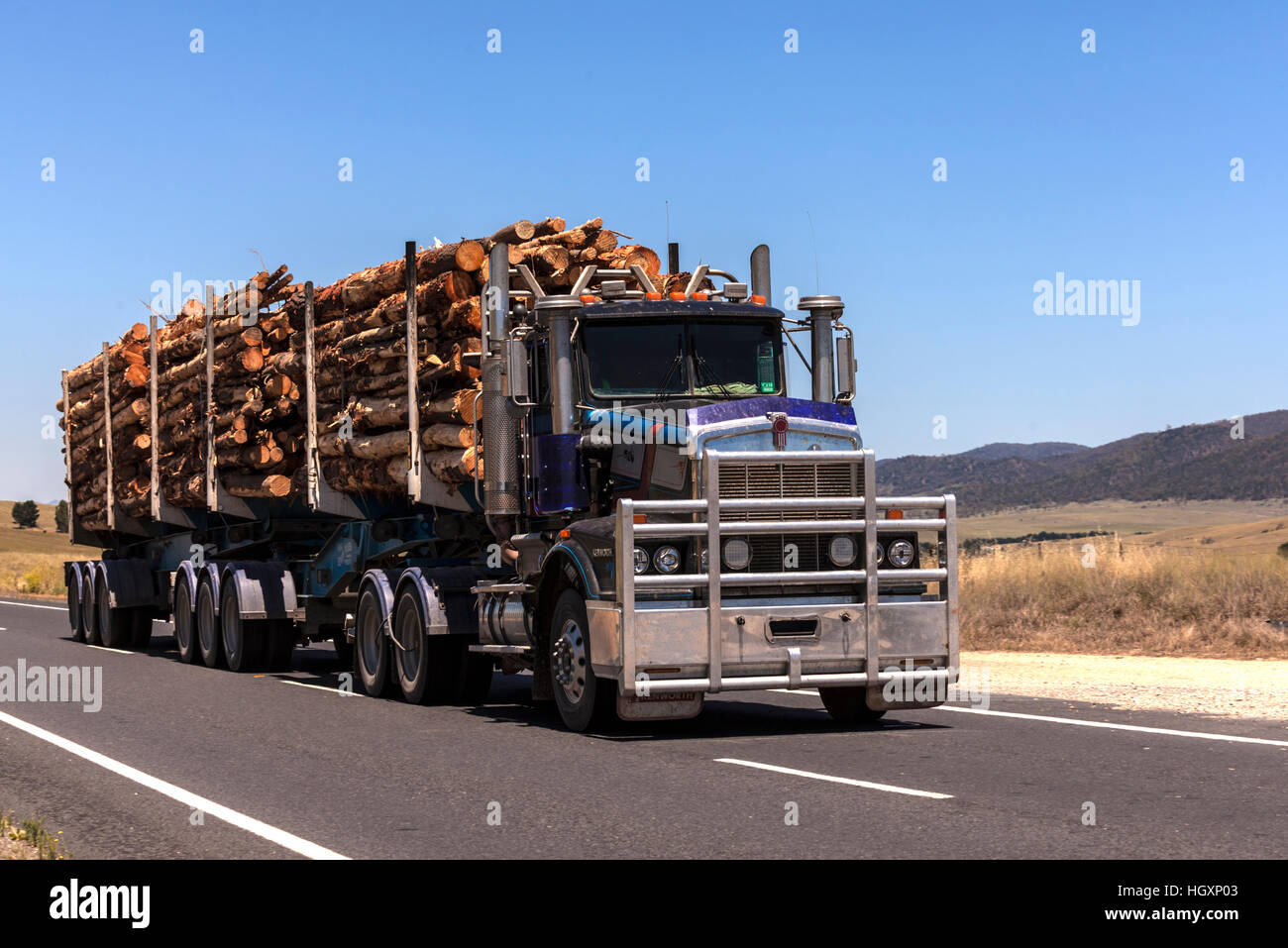 Logging truck carrying load of harvested trees to timber mill Stock ...