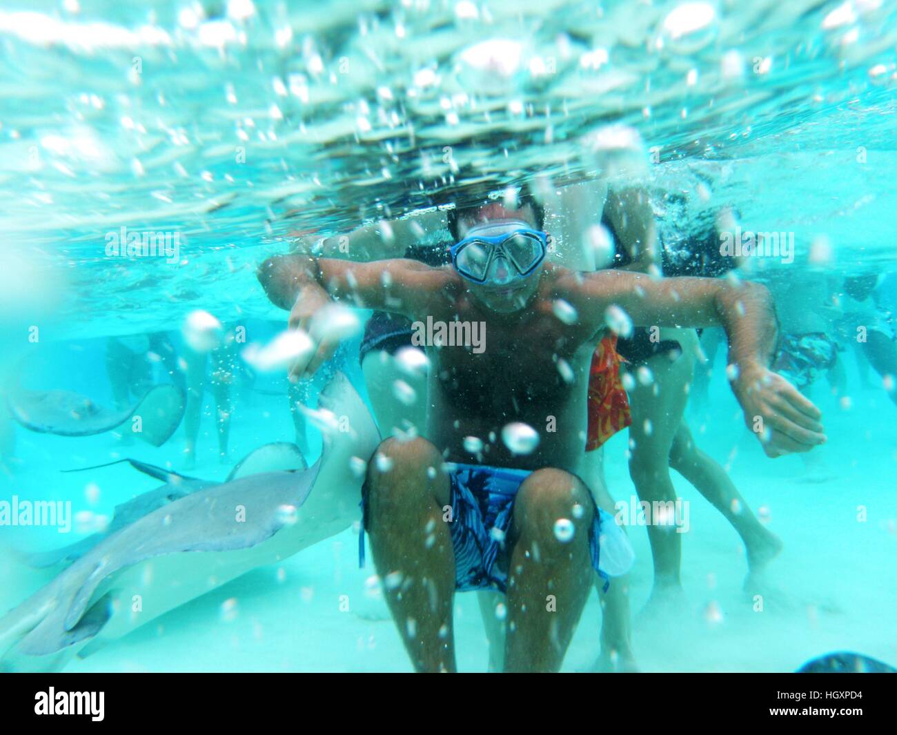 snorkeling with stingrays in the Caribbean ocean Stock Photo - Alamy