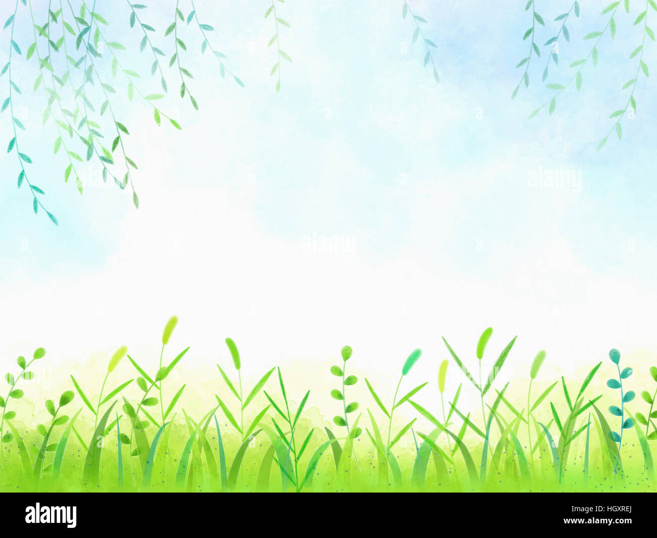 Background of summer Stock Photo - Alamy