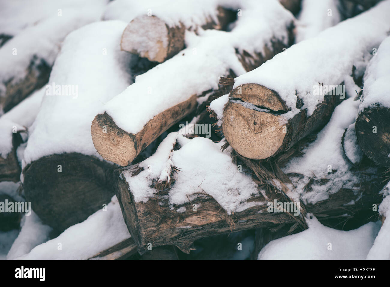 Cut wood pile hi-res stock photography and images - Alamy