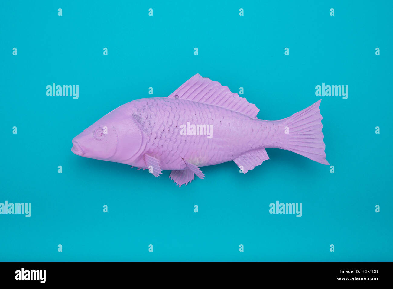 Purple fish hi-res stock photography and images - Alamy