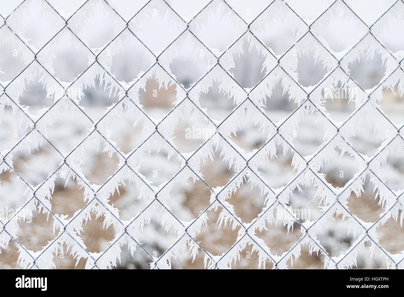 Frozen wires hi-res stock photography and images - Alamy