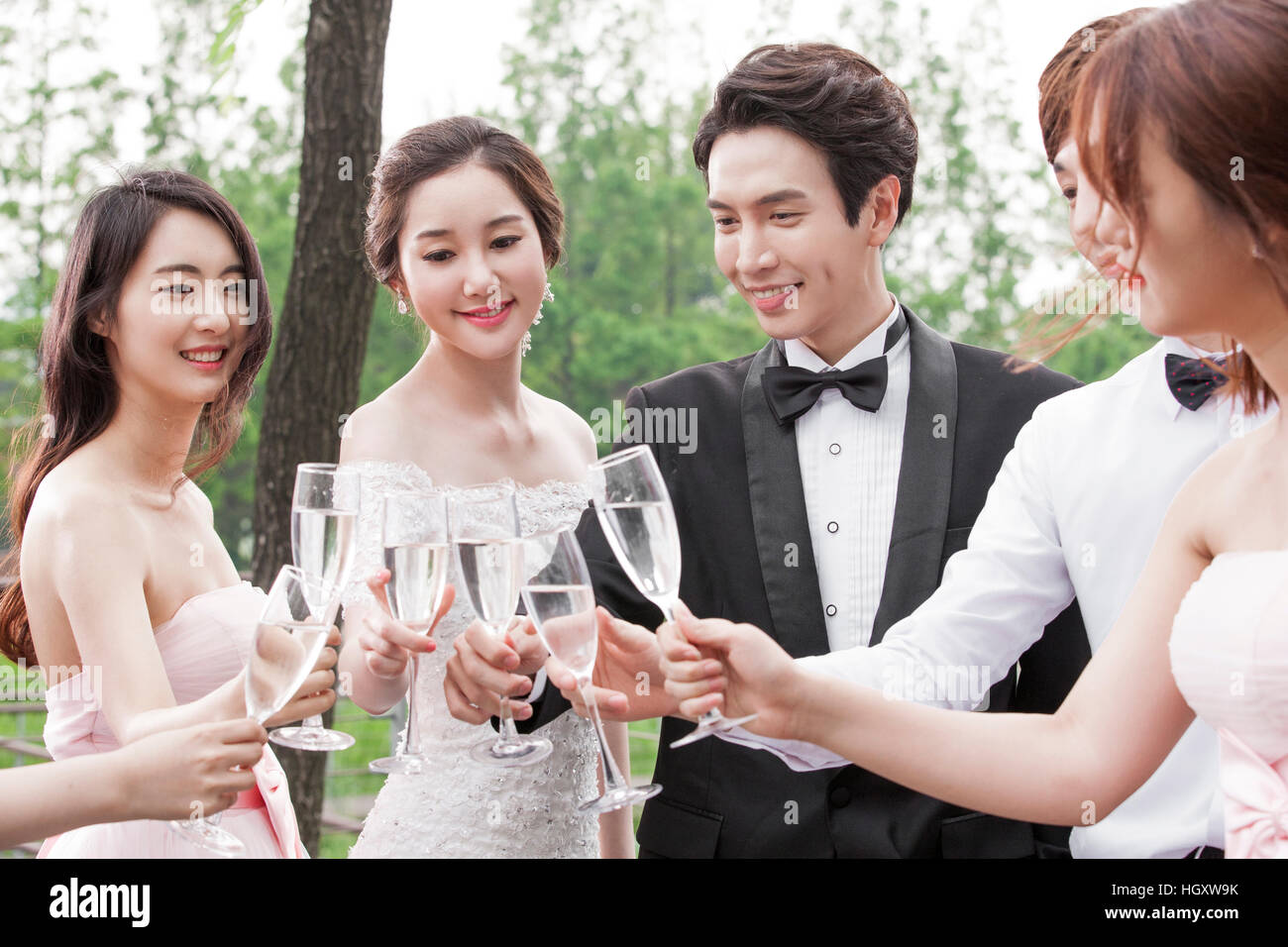 Smiling wedding couple toasting with their friends Stock Photo - Alamy