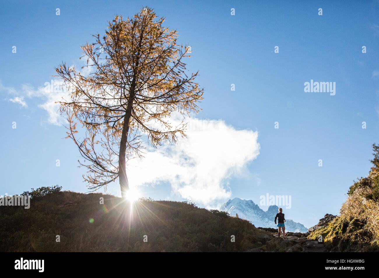 Trail Running, Chamonix, France Stock Photo - Alamy