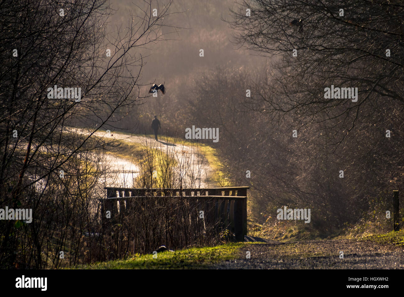 Early morning walk in the park Stock Photo - Alamy