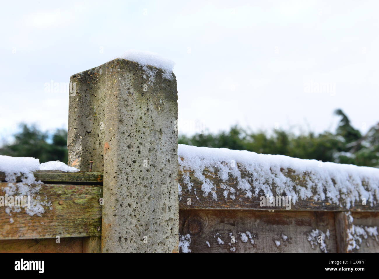 Biting fence hi-res stock photography and images - Alamy