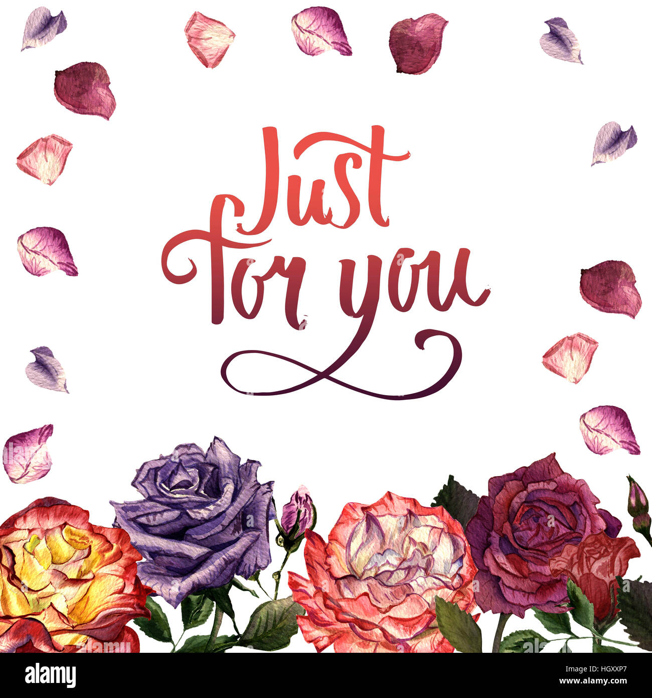 Wildflower rose flower frame in a watercolor style isolated Stock Photo ...