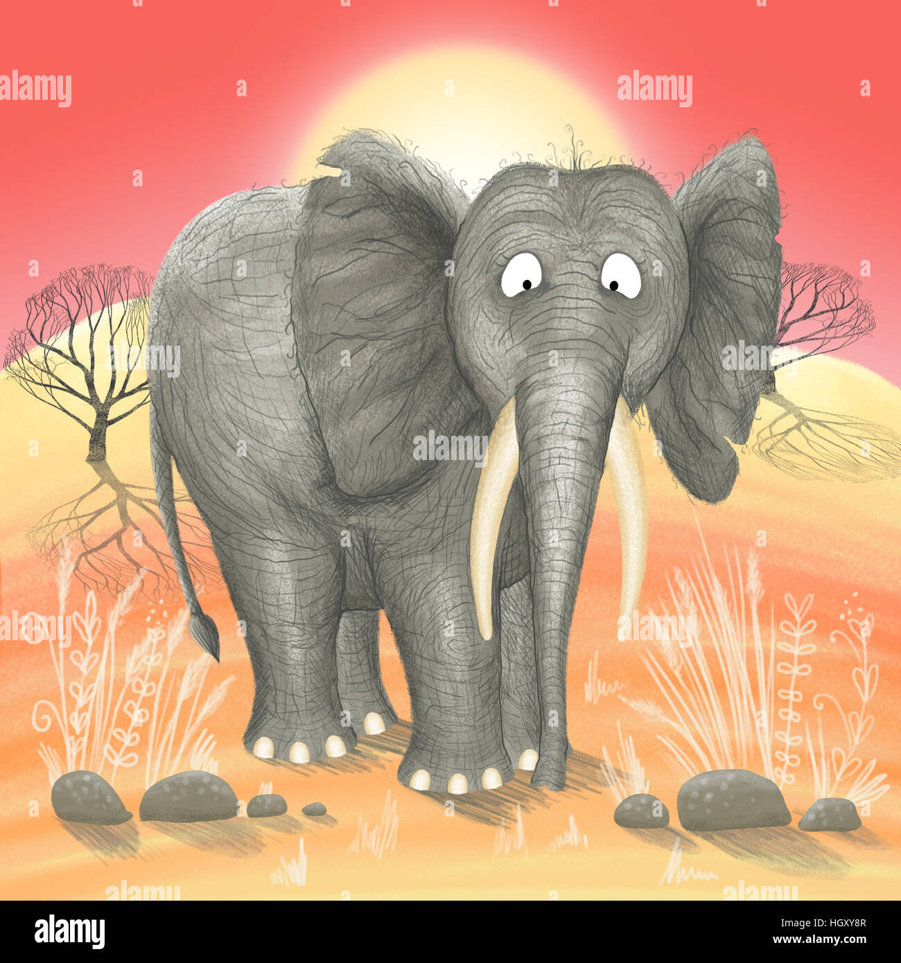 Elephant drawing trunk hi-res stock photography and images - Alamy