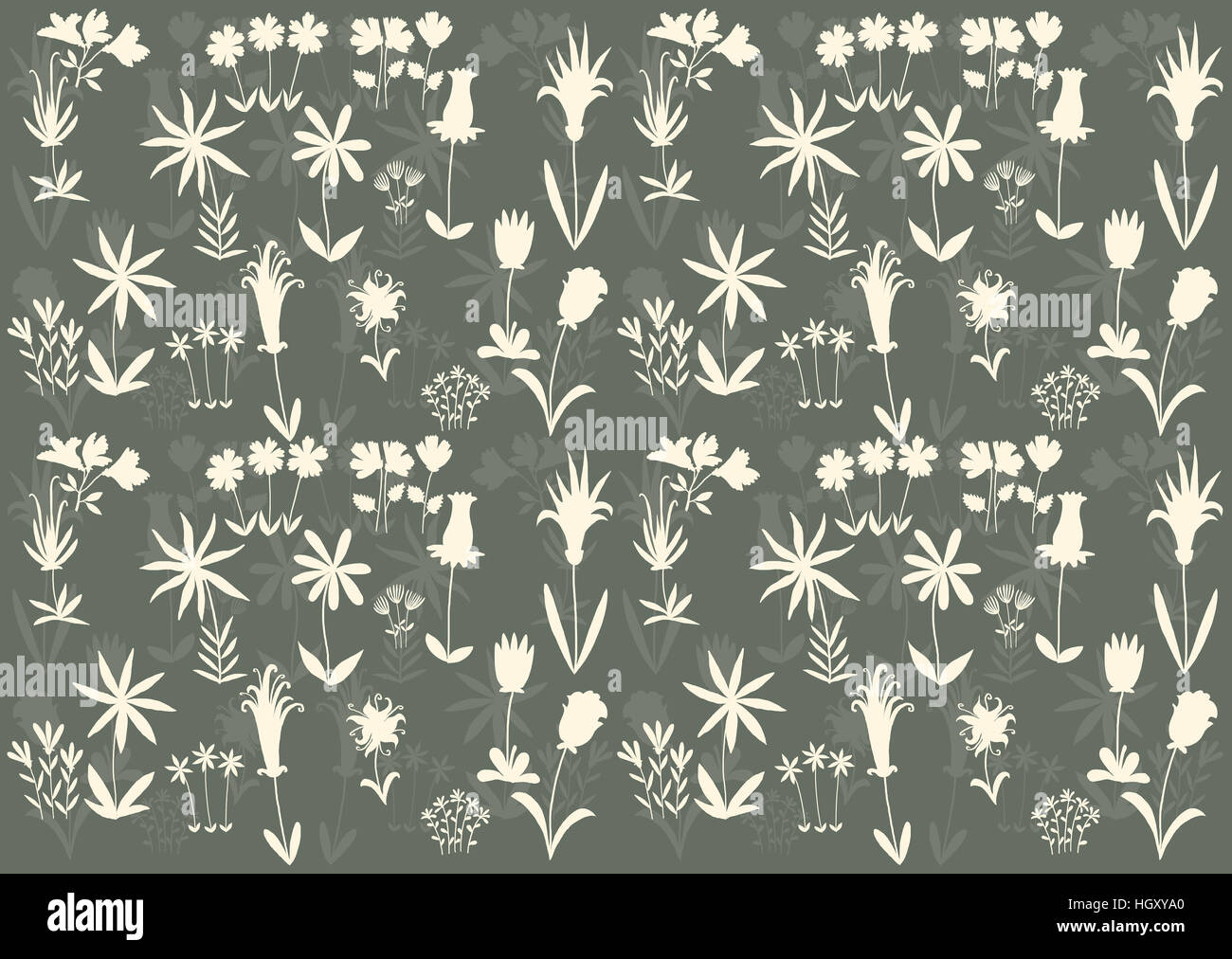 Modern botanical print hi-res stock photography and images - Alamy