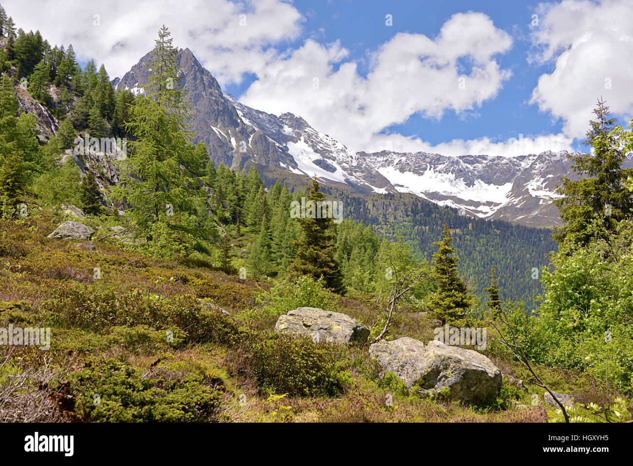 Mountain pass of Montets (elevation 1,461 m) near of Chamonix in the ...