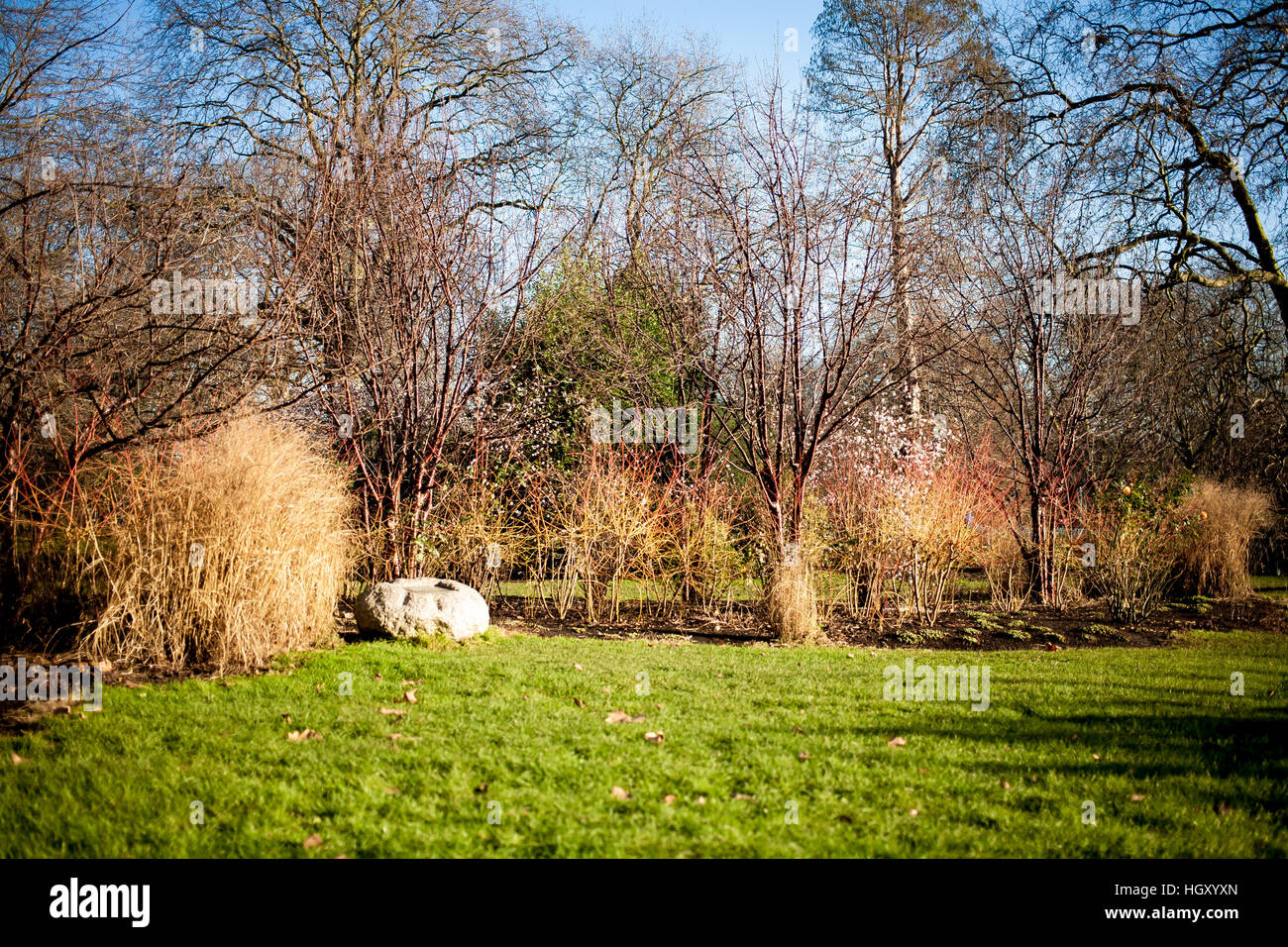 January afternoon in St James park, London Stock Photo - Alamy