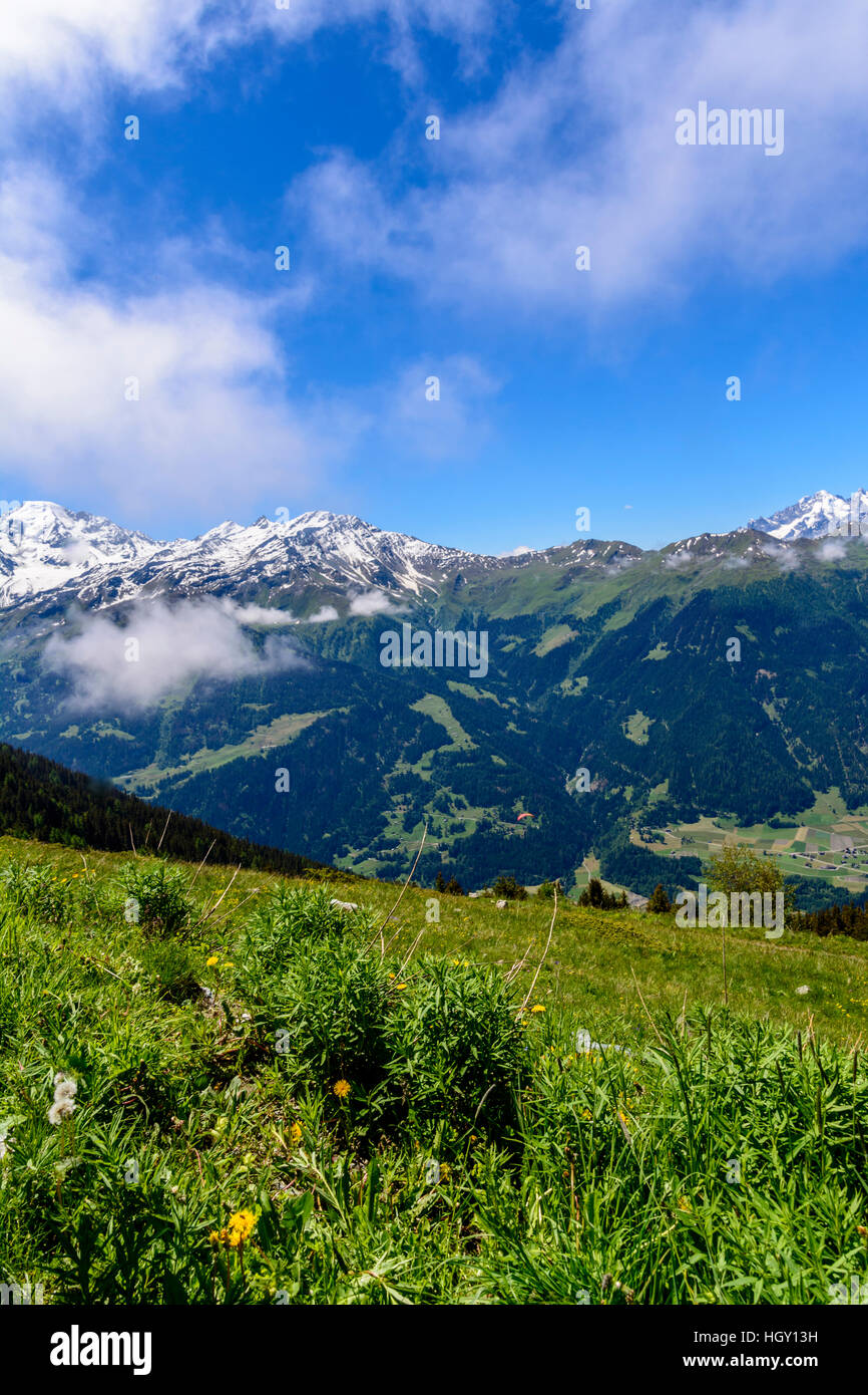 The Swiss Alps in Summer, Verbier, Switzereland Stock Photo - Alamy