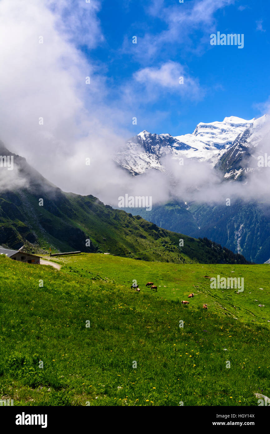 The Swiss Alps in Summer, Verbier, Switzereland Stock Photo - Alamy