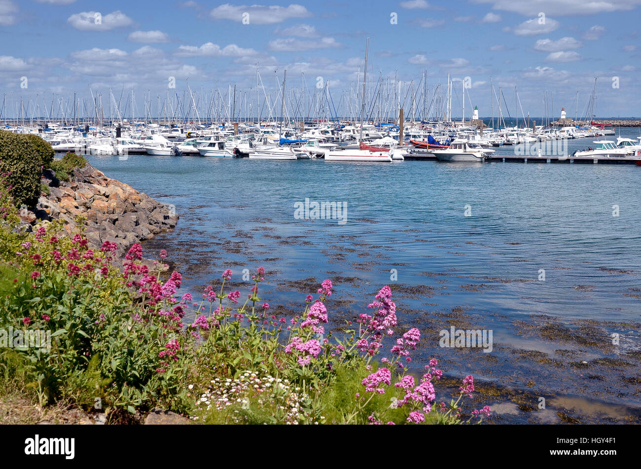 Port of Haliguen at Quiberon in France Stock Photo - Alamy
