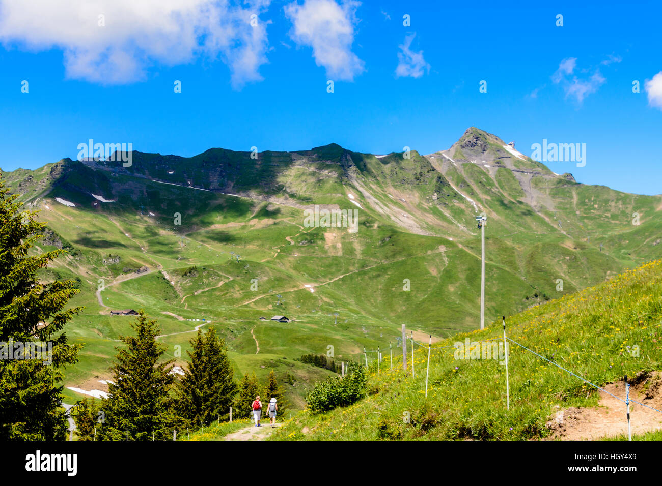 The Swiss Alps in Summer, Verbier, Switzereland Stock Photo - Alamy