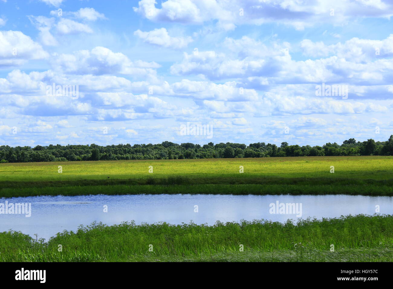beautiful summer landscape with lake field and clouds. Nature with ...