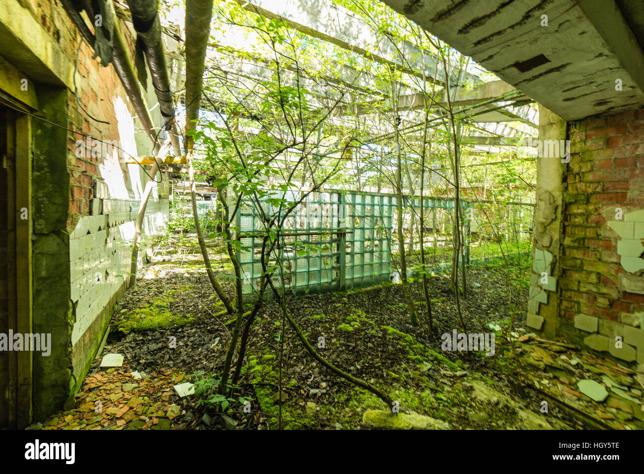 abandoned country farm building in bright summer sun in latvia Stock ...