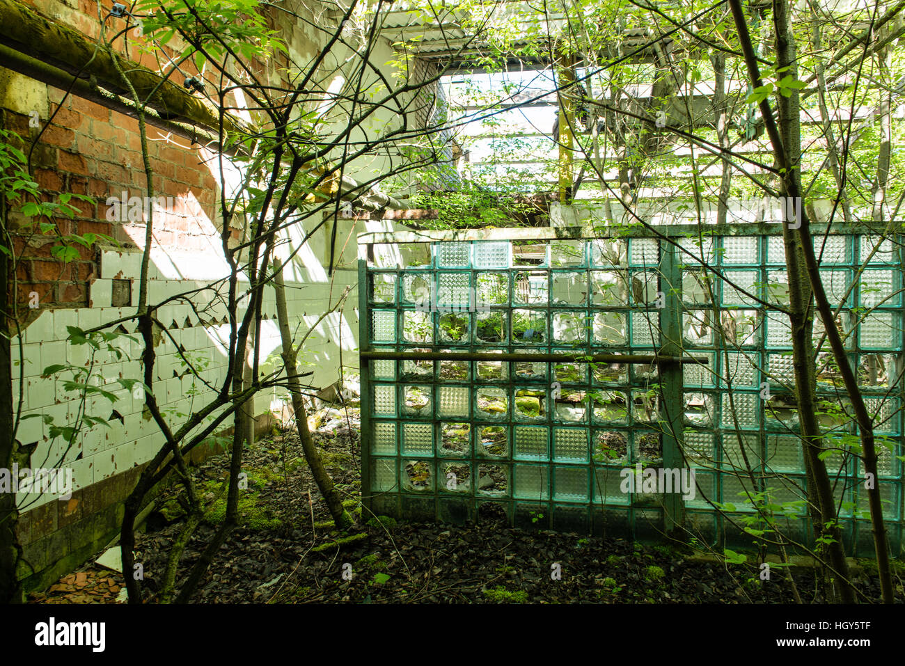 abandoned country farm building in bright summer sun in latvia Stock ...