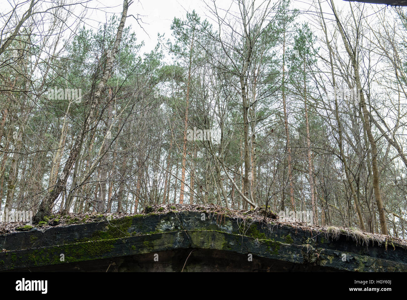 abandoned electro station building in early spring in latvia Stock Photo - Alamy