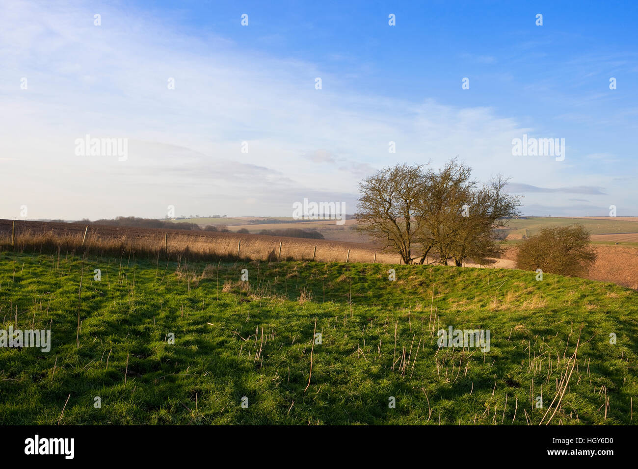 a hillside burial mound with hedgerows and dry grasses on a valley ...