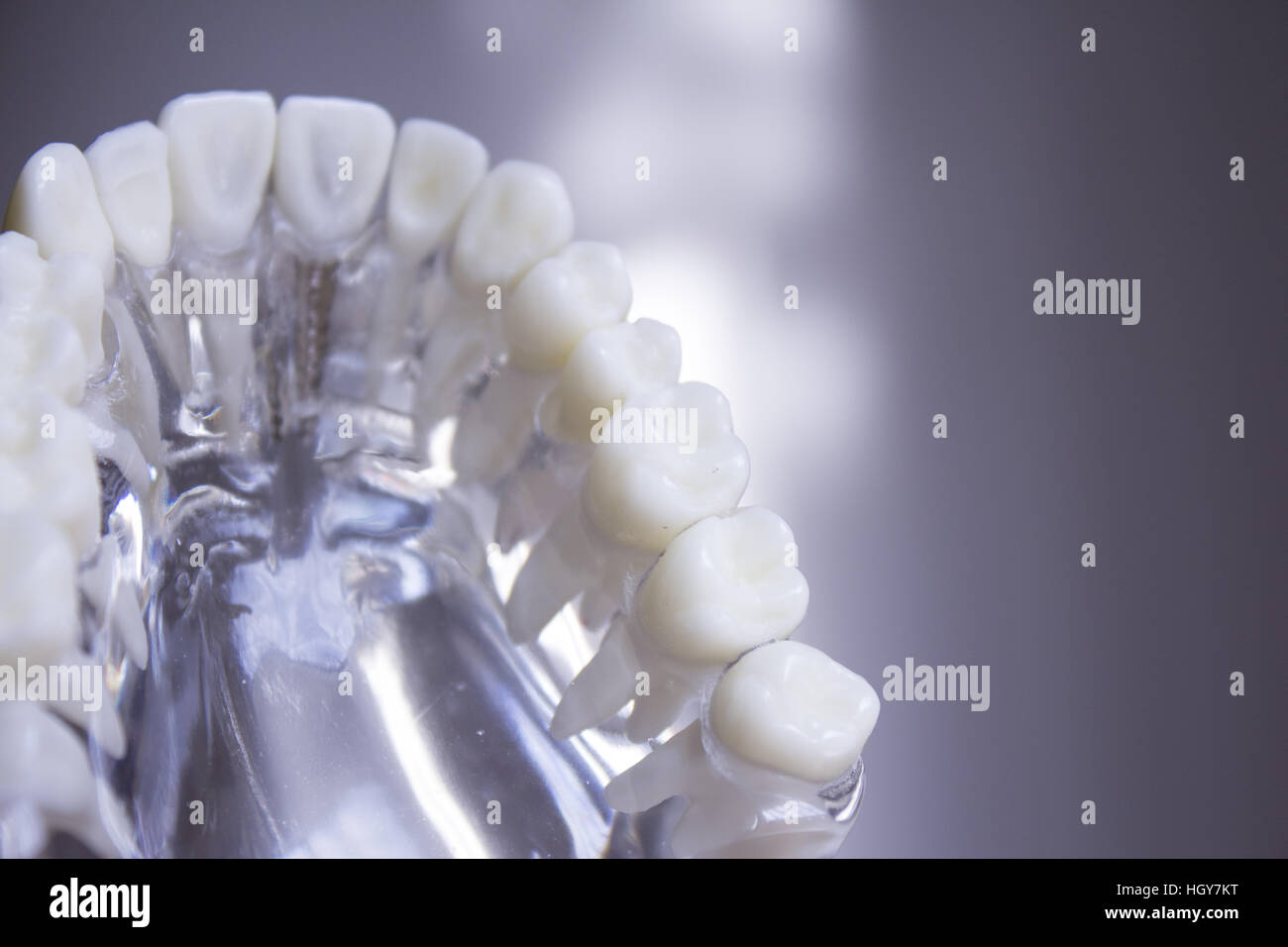 False teeth sample for dentists Stock Photo - Alamy