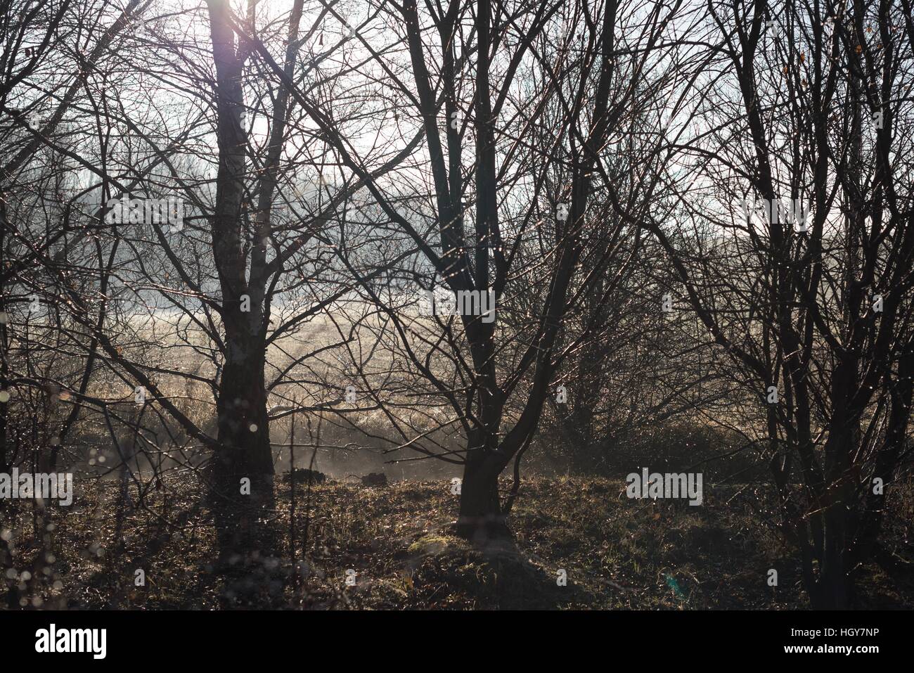 Autumn nature, we can see a whole range of colors, is the perfect time ...