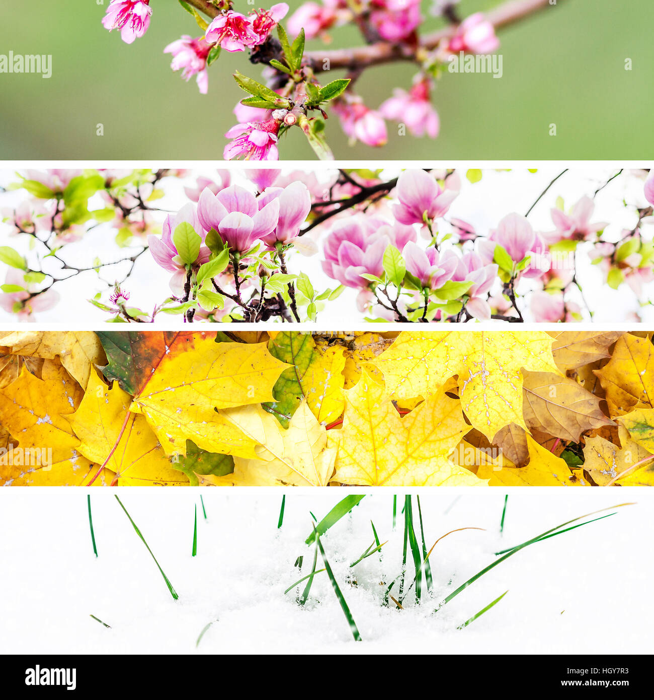 collage made of thin strips of typical four season nature, horizontal ...