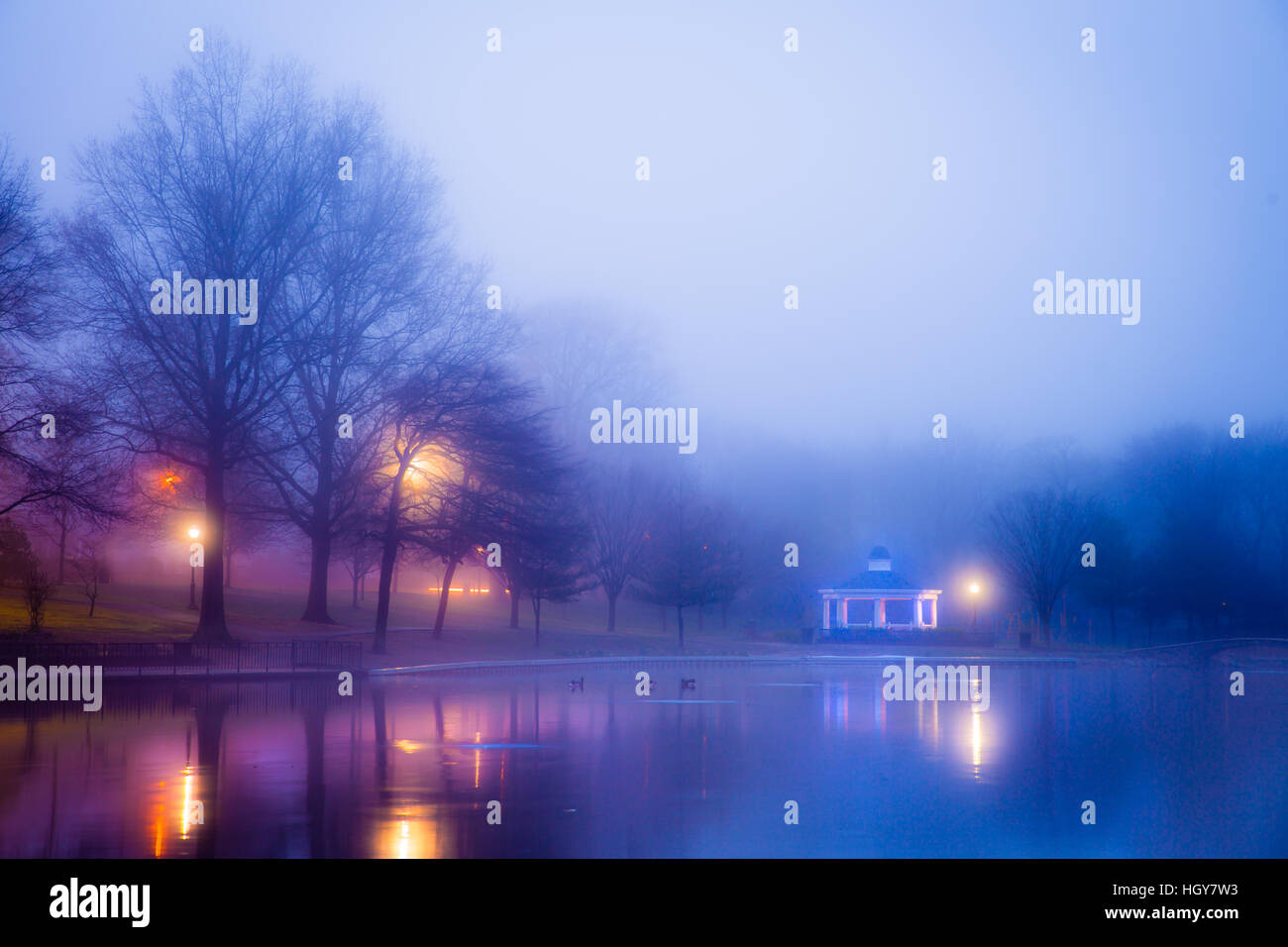 Beautiful foggy landscape at lake pond on misty winter night with ...