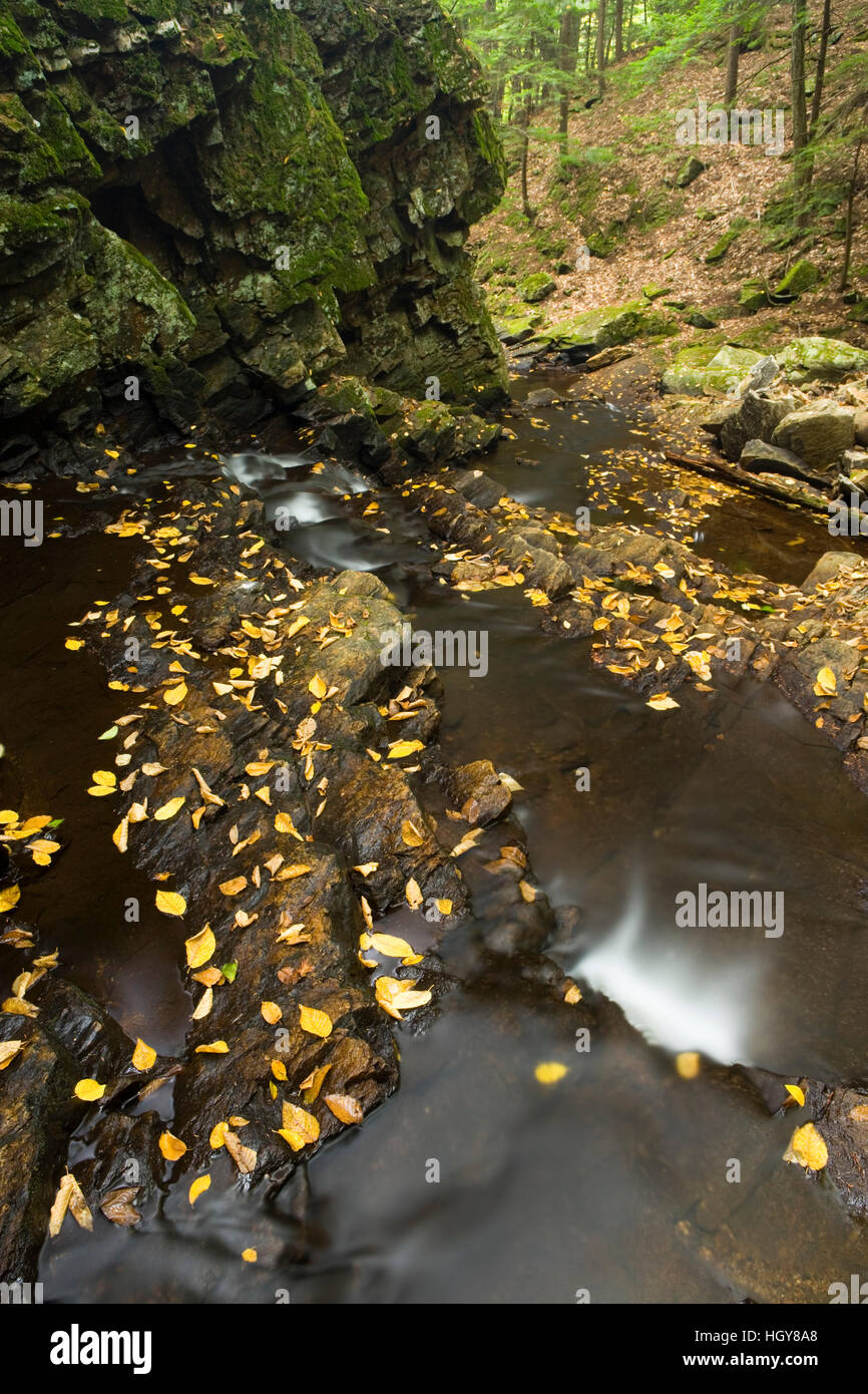 Chesterfield Gorge in Chesterfield, New Hampshire Stock Photo - Alamy