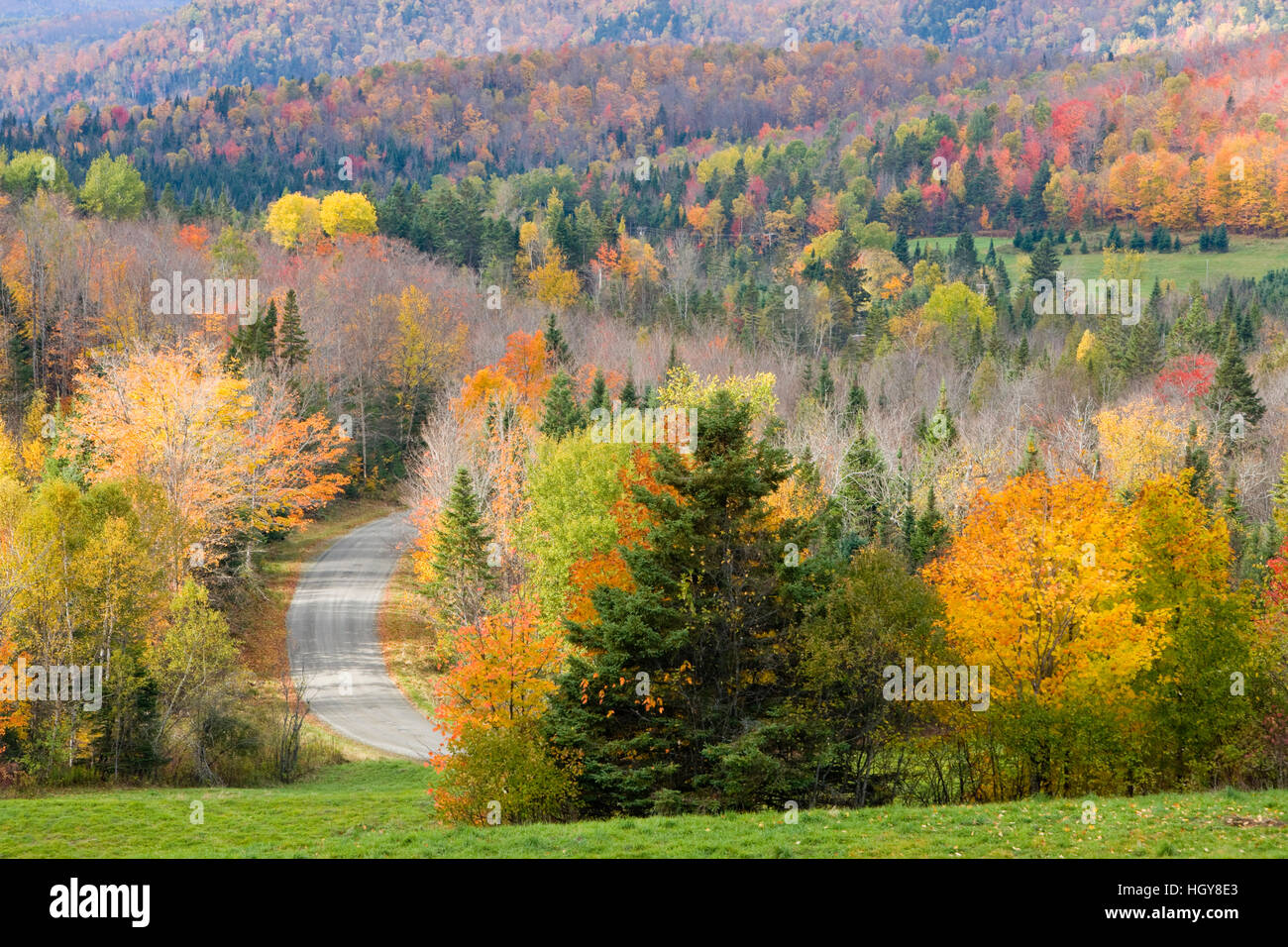 Stewartstown hi-res stock photography and images - Alamy