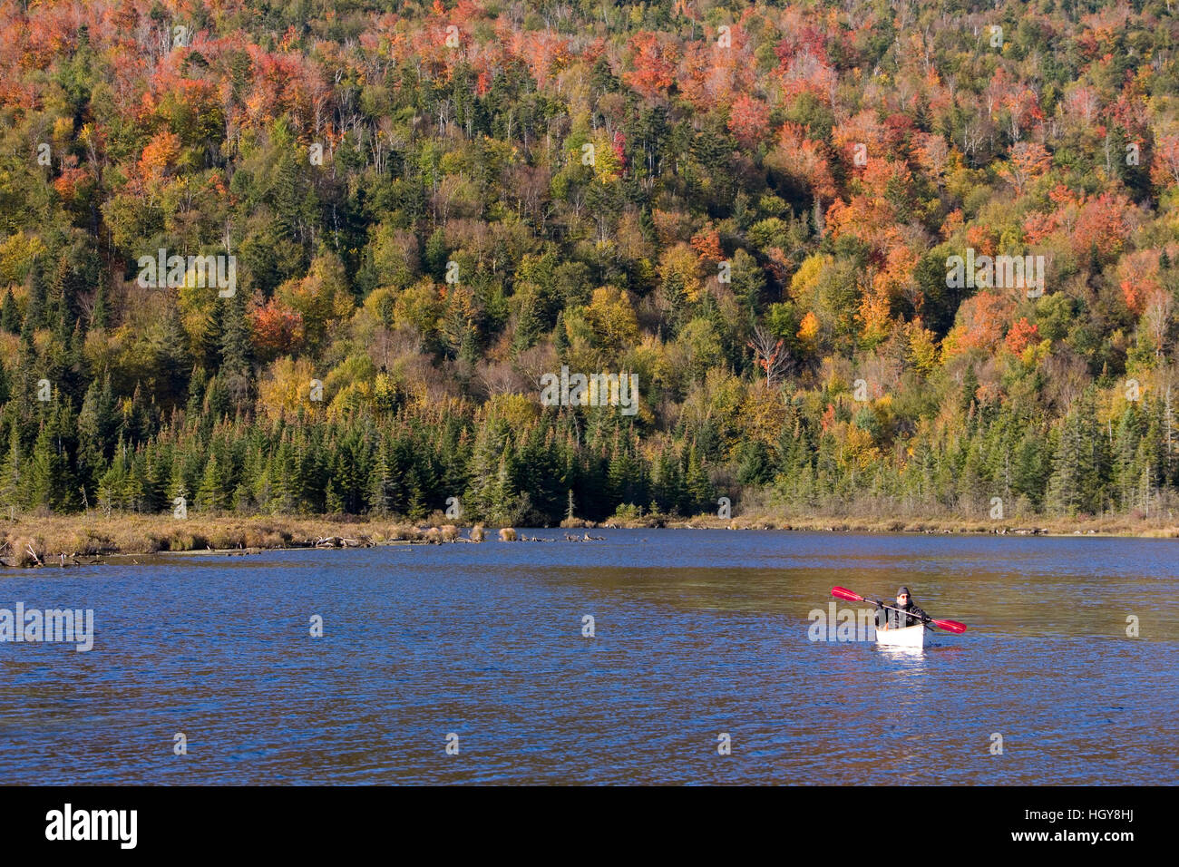Moose flowage hi-res stock photography and images - Alamy