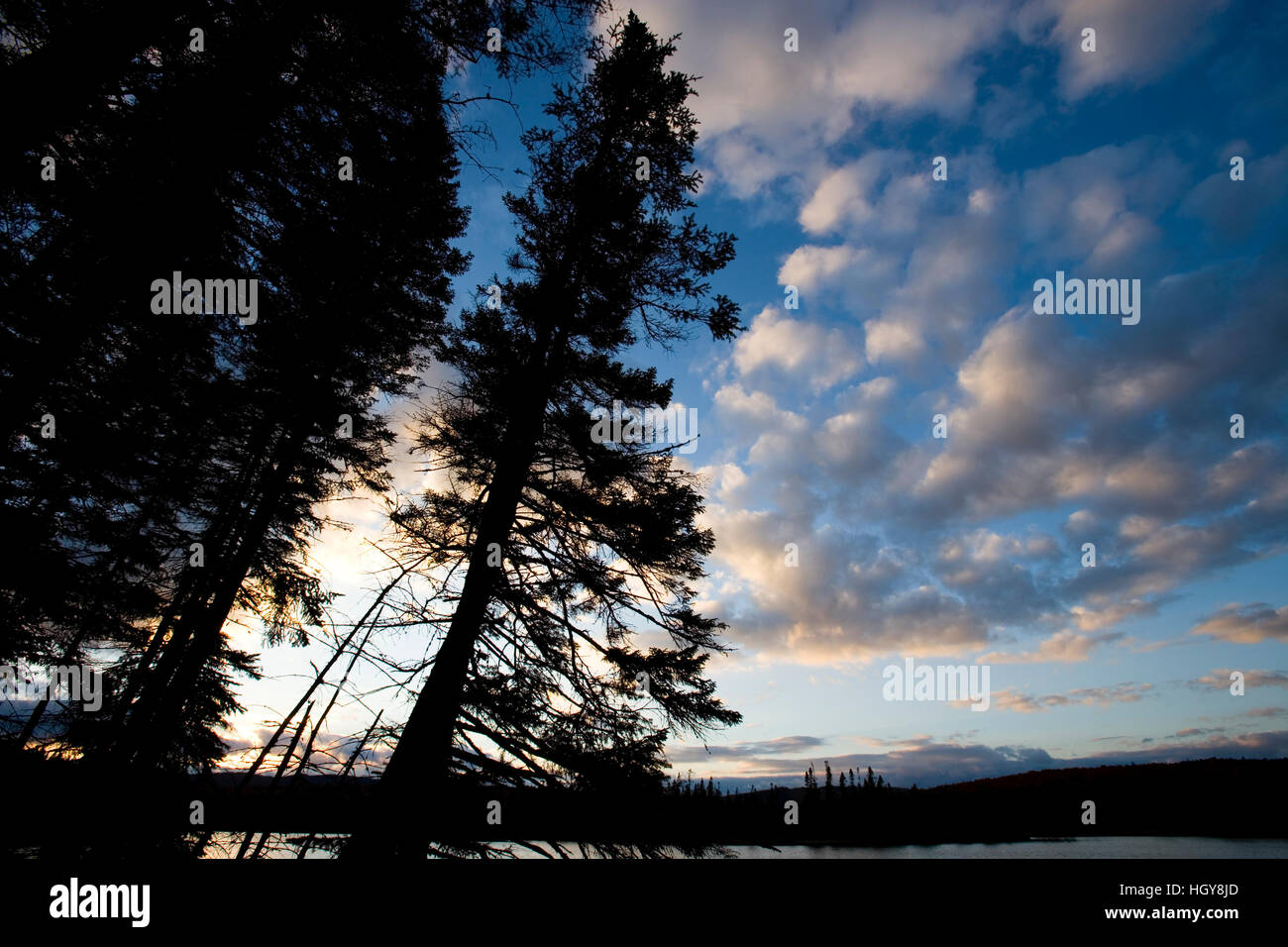 Pittsburg silhouette hi-res stock photography and images - Alamy