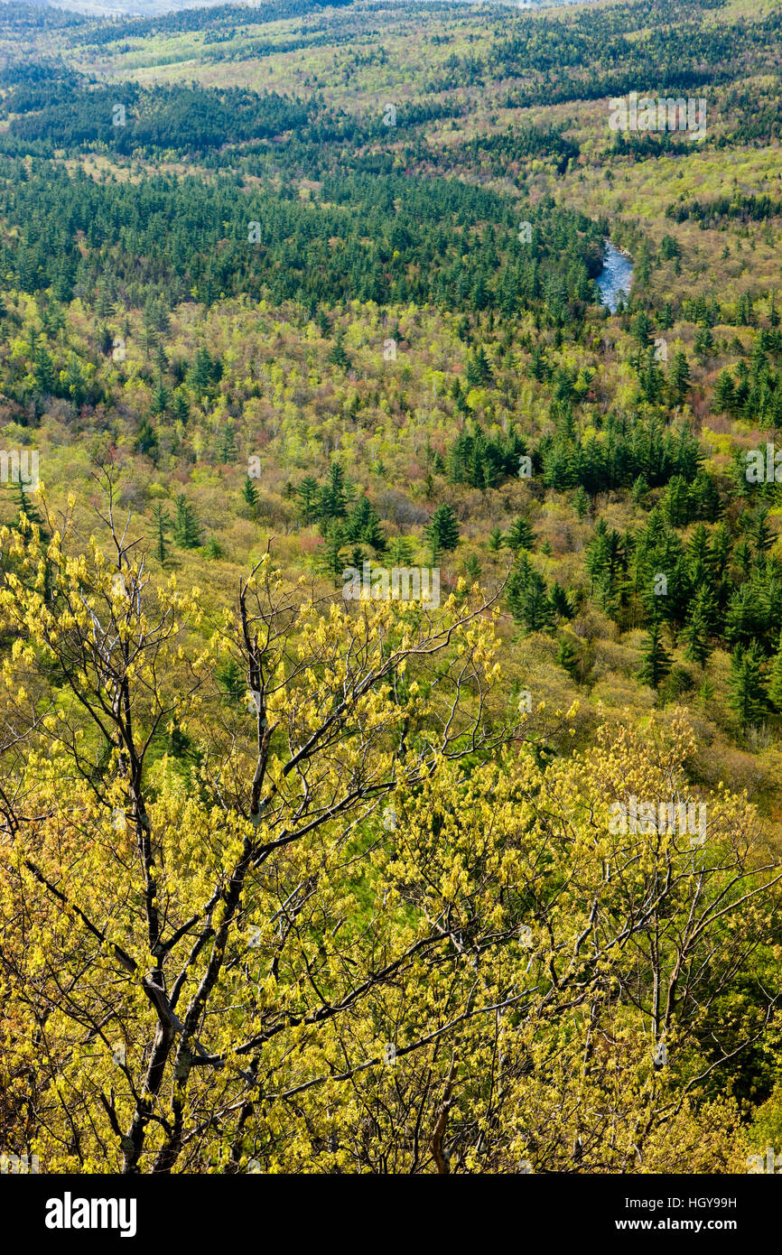 View of the Swift River Valley from the Boulder Loop Trail in New ...