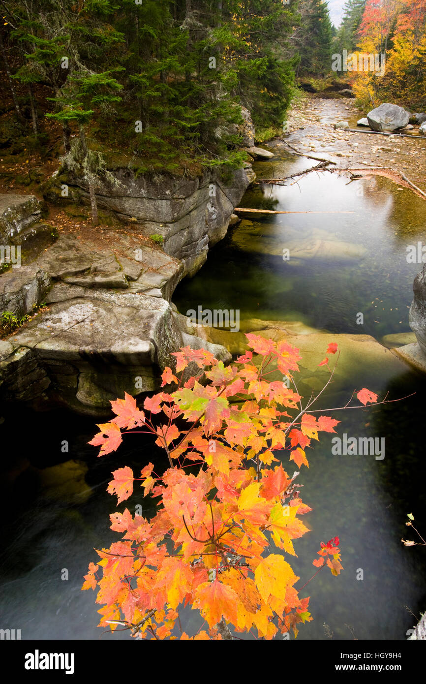 Upper Falls on the Ammonoosuc River in New Hampshire's White Mountains ...
