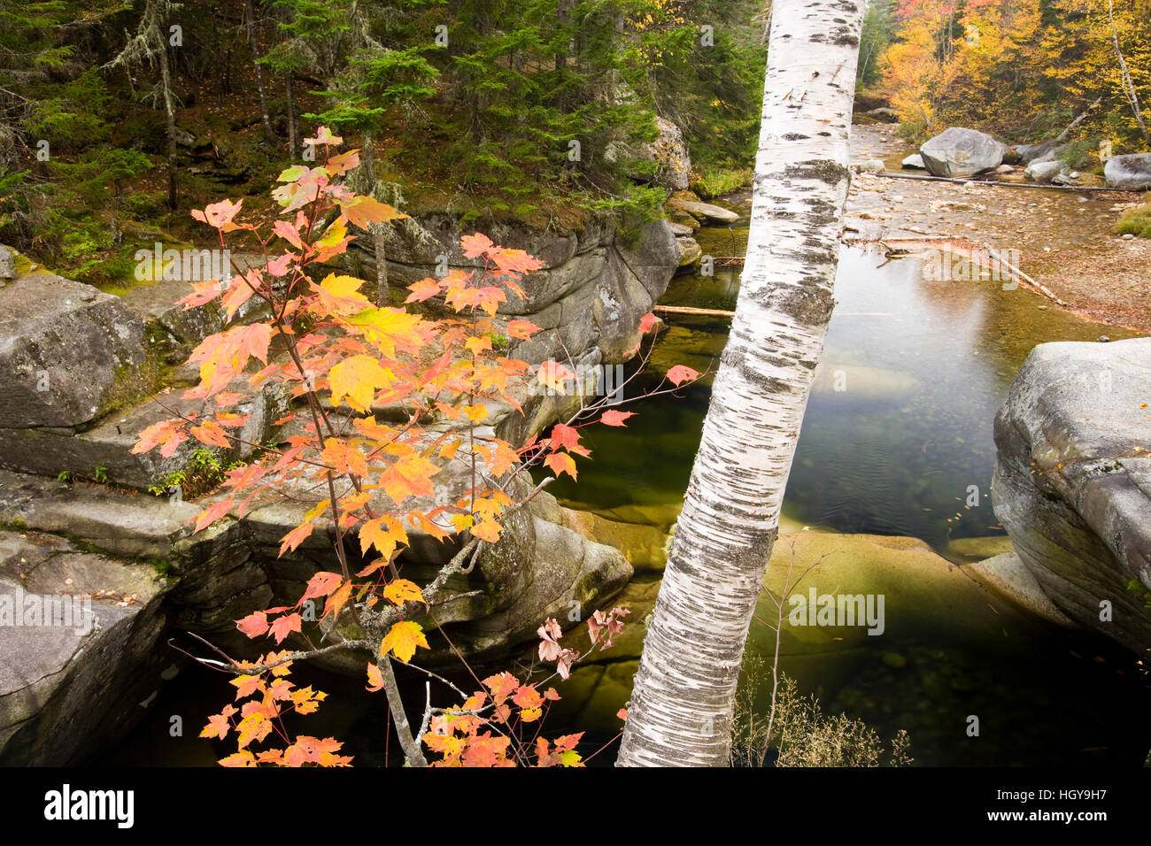 Upper Falls on the Ammonoosuc River in New Hampshire's White Mountains ...