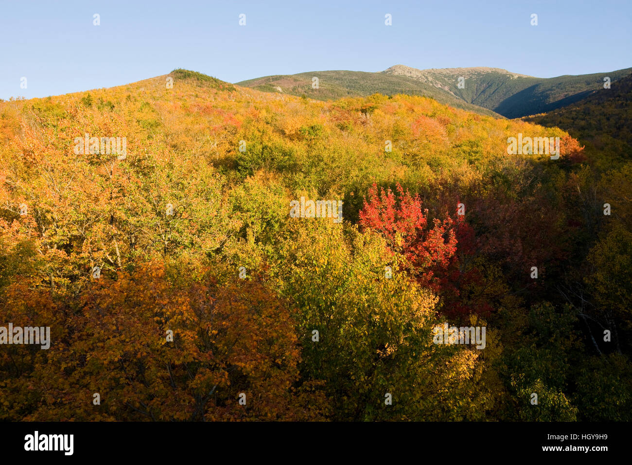 Mount Lafayette in fall in New Hampshire's White Mountain National ...