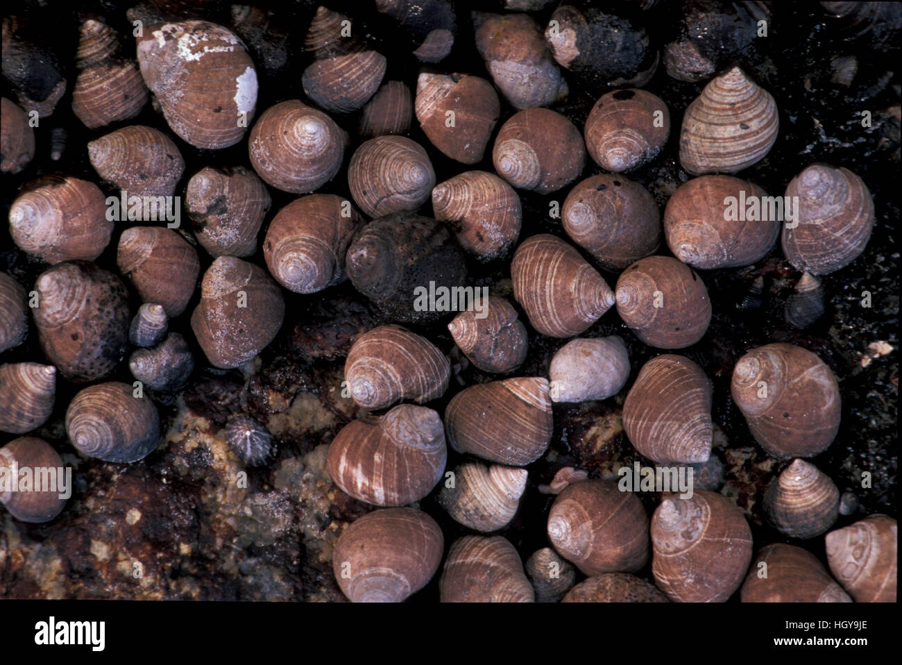 Wallis sands beach hi-res stock photography and images - Alamy