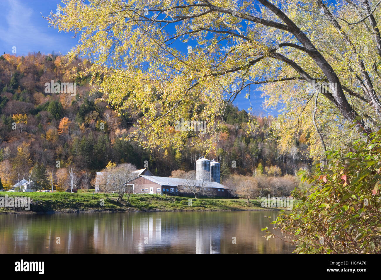A farm on the Connecticut River in Maidstone, Vermont. Silver maple ...