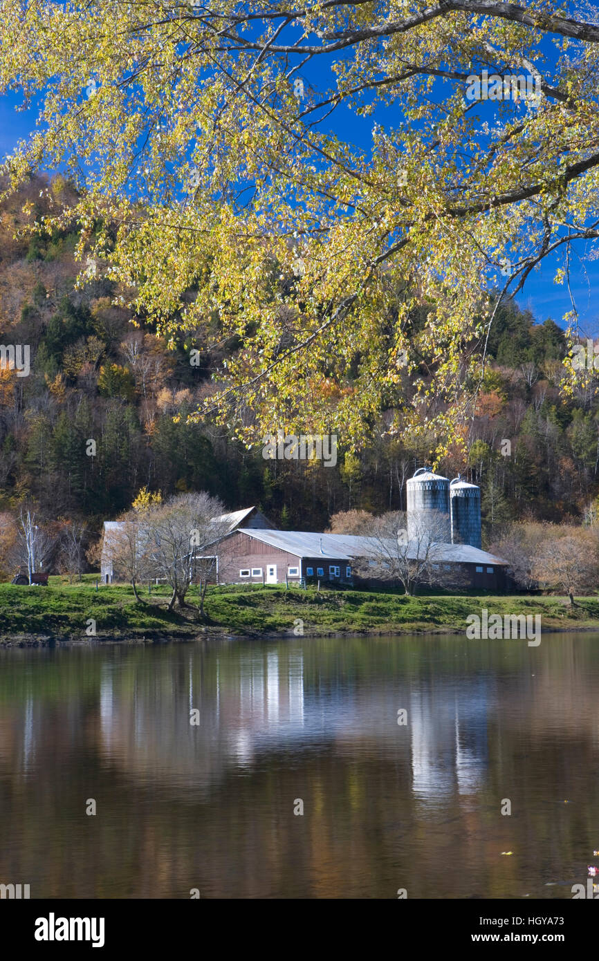 A farm on the Connecticut River in Maidstone, Vermont. Silver maple ...