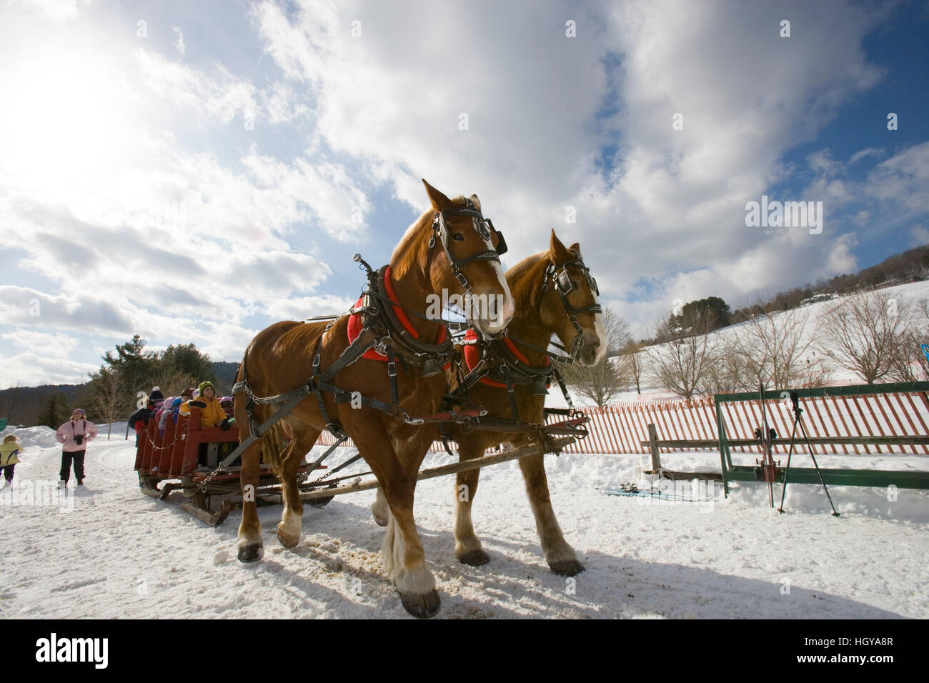 Horse drawn sleigh hi-res stock photography and images - Alamy