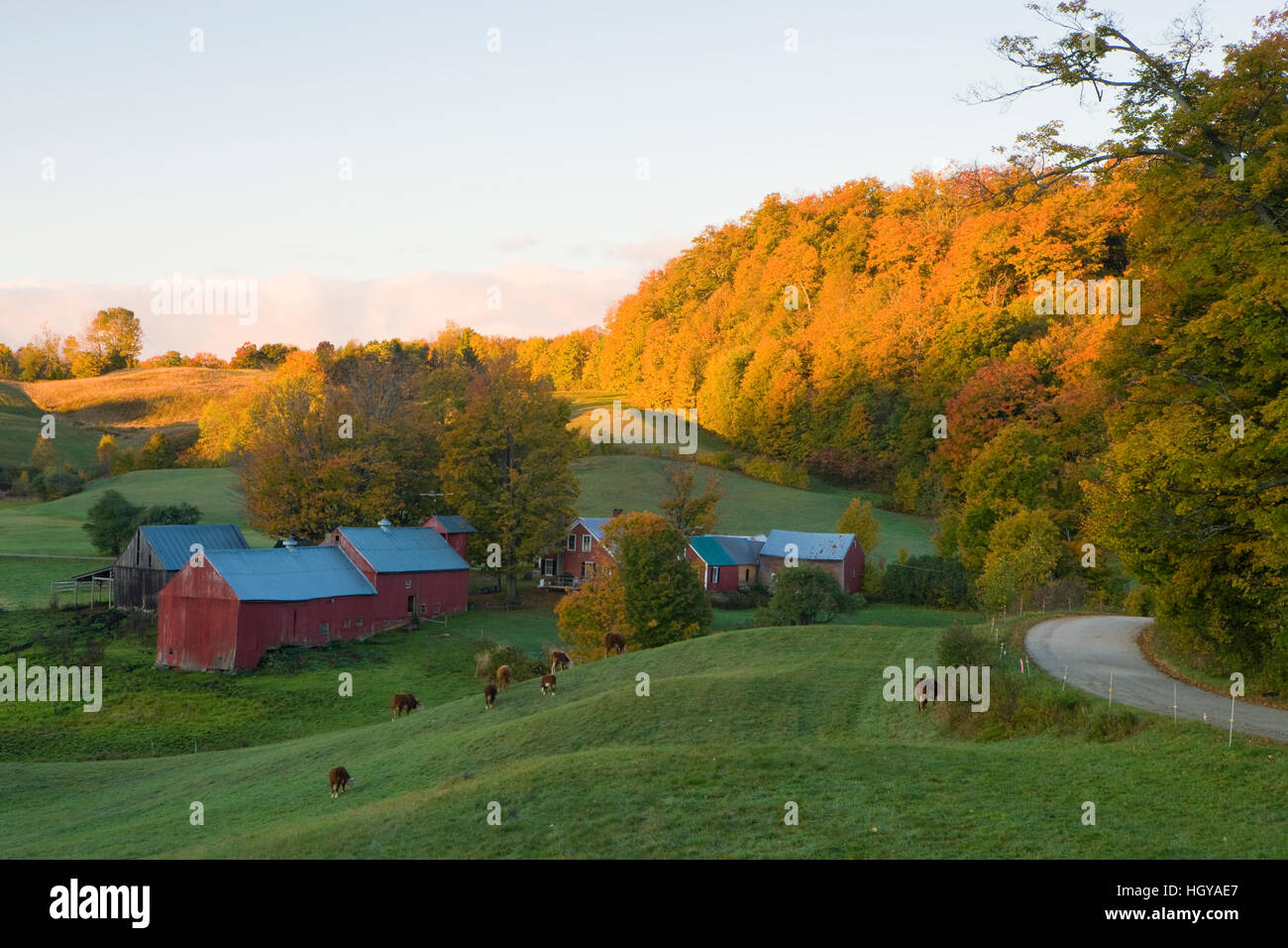 The Jenne Farm in Woodstock, Vermont. Fall Stock Photo - Alamy