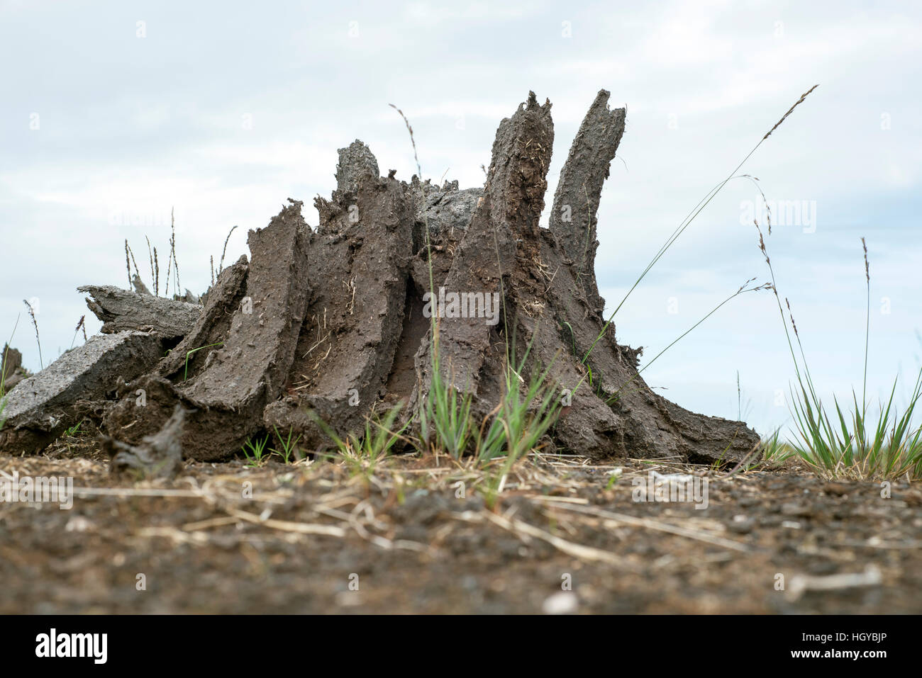 Stacked peat in turf bog hi-res stock photography and images - Alamy