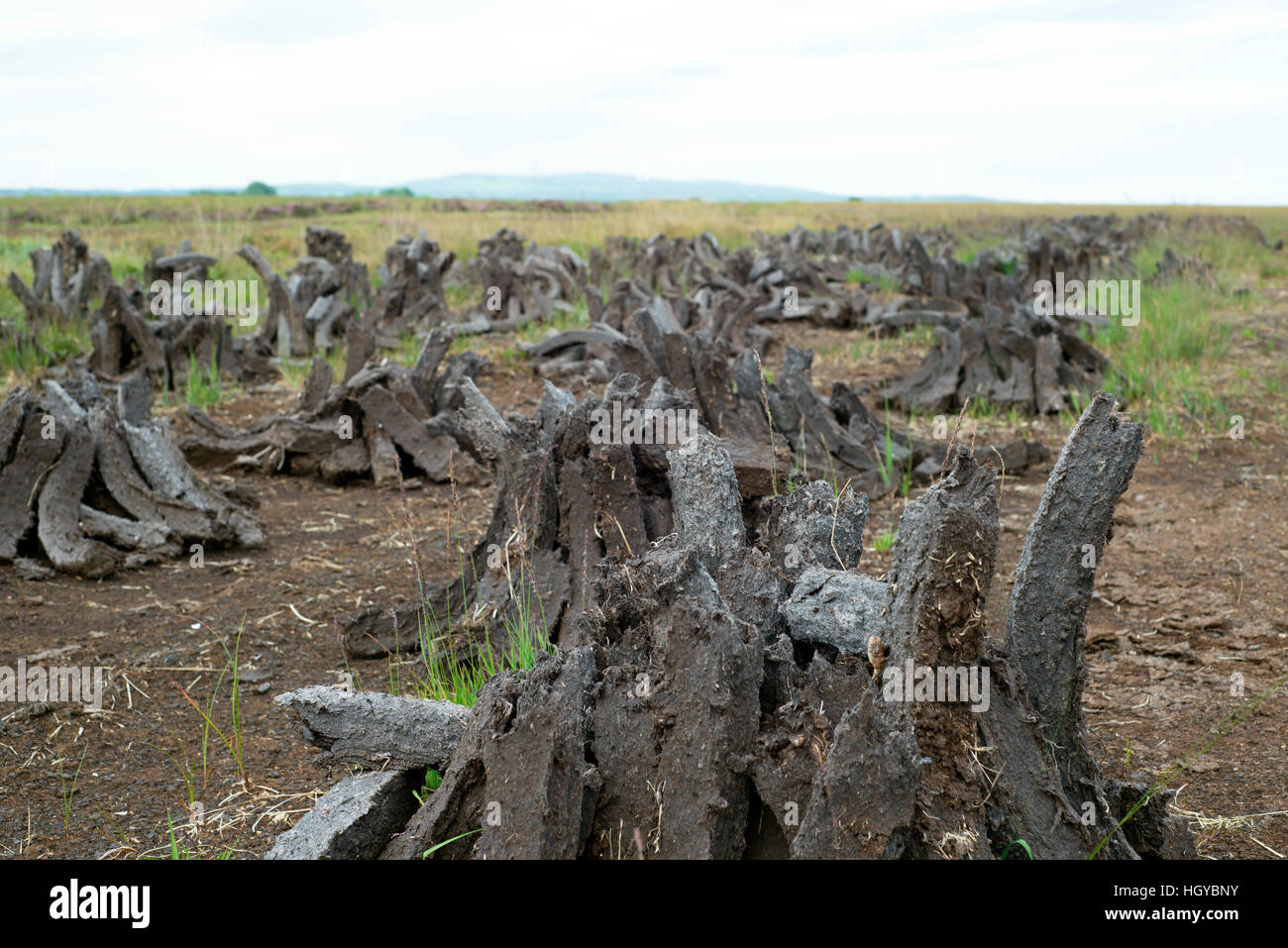 Turf pile hi-res stock photography and images - Alamy
