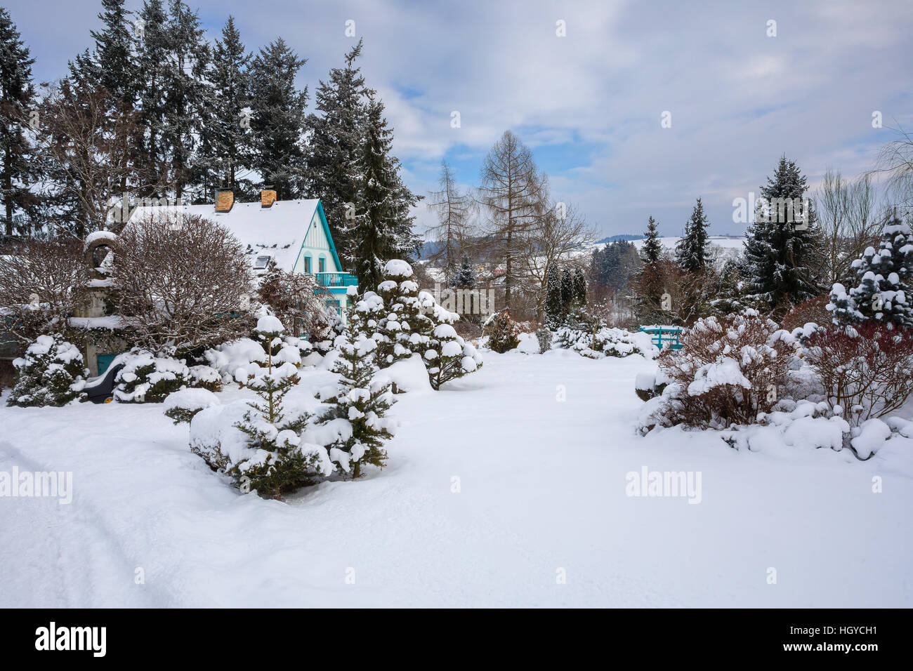 Beautiful rural house situated in evergreen winter garden with conifers ...