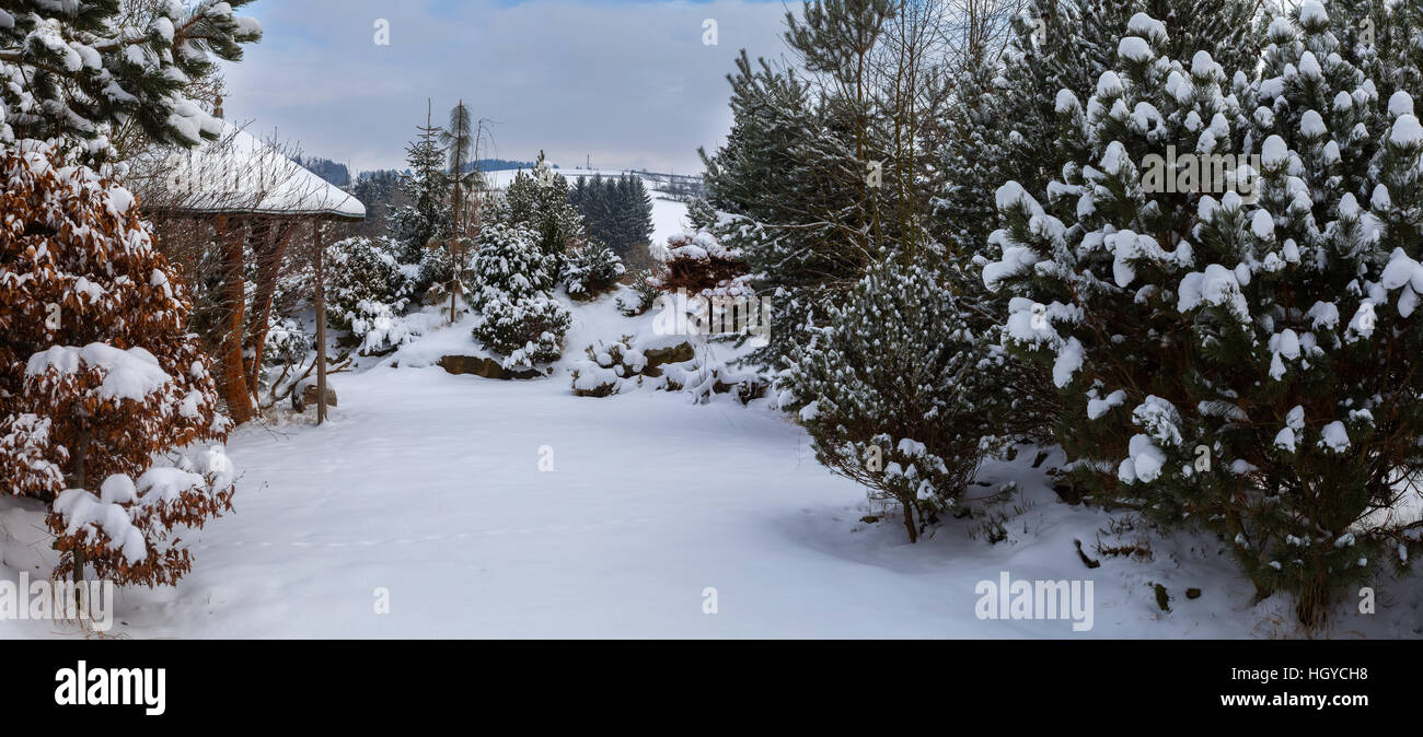 Beautiful evergreen winter garden with conifers covered by fresh snow ...