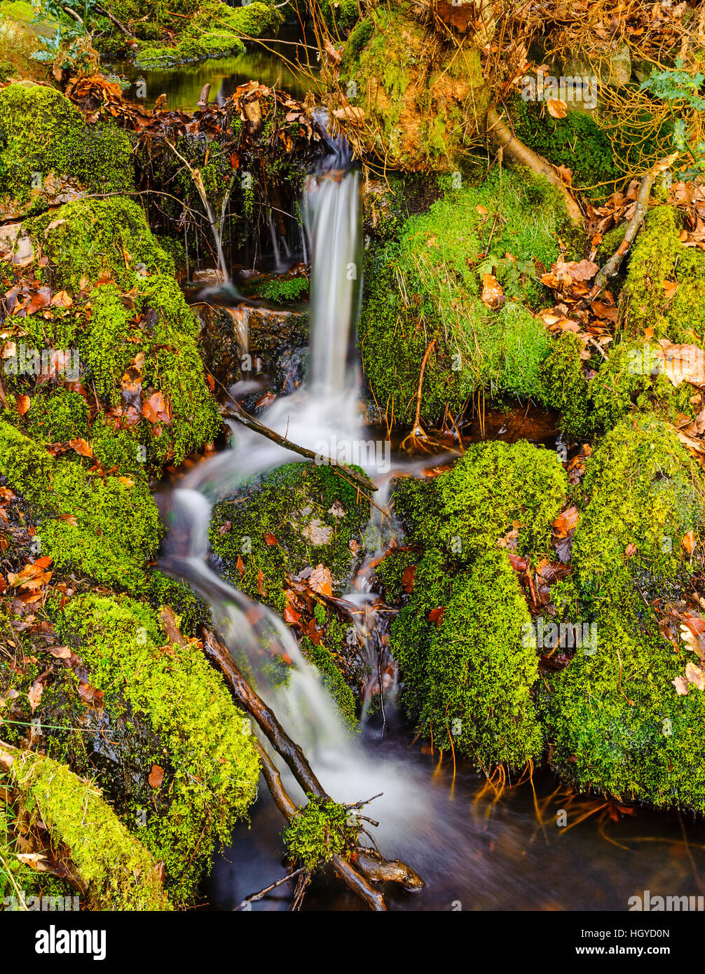 Small waterfall amongst mossy rocks in the Forest of Bowland Area of ...