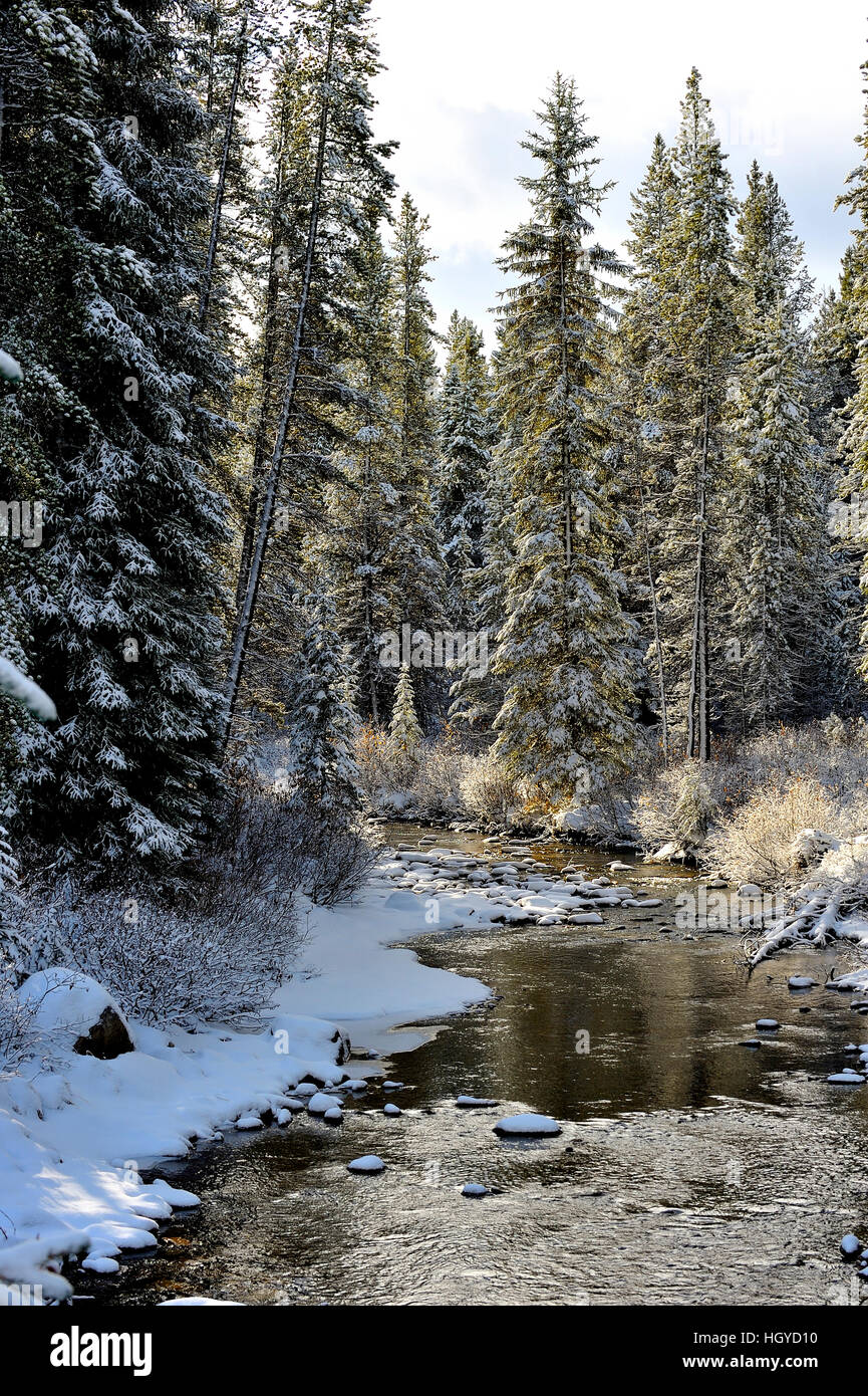 Beauty natural scenic hi-res stock photography and images - Alamy