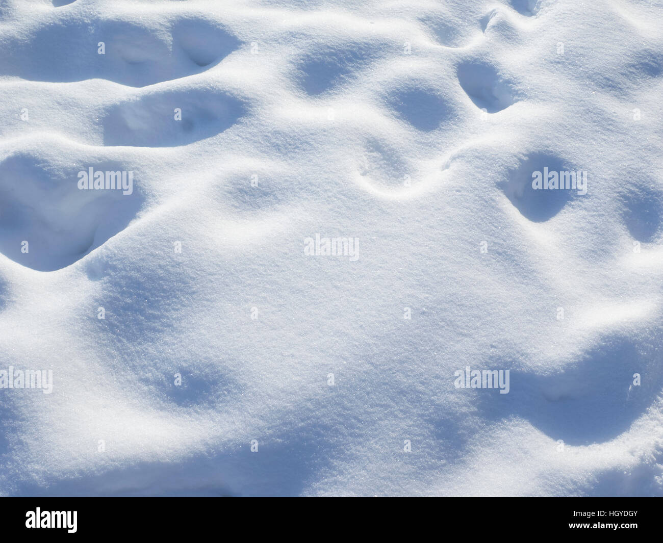 High angle view of snow texture, background with copy space Stock Photo ...
